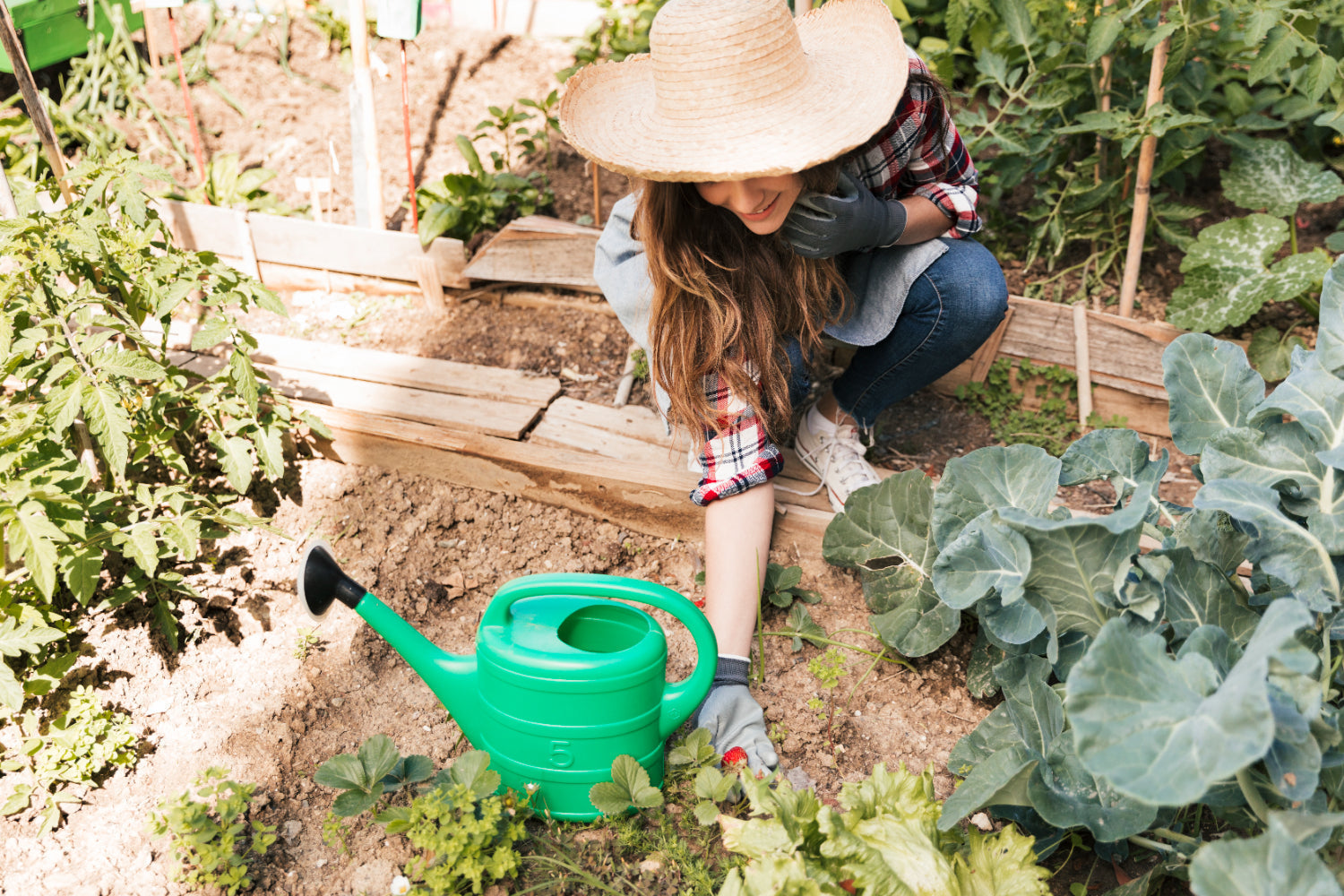 Spring 2025 Garden Trends: How Timber Sleepers Can Transform Your Outd ...